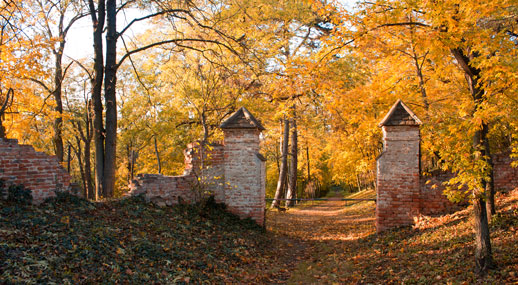 Filip Procházka Photogallery